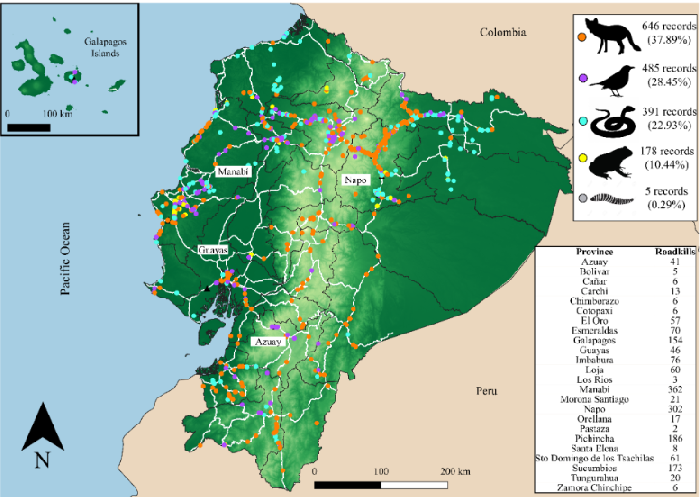 Primera evaluación nacional de mortalidad de fauna silvestre en Ecuador ...
